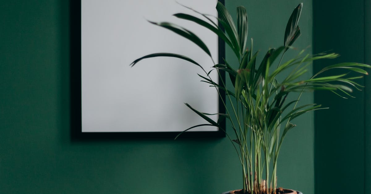 Comment dériver facilement la fonction racine carrée de x