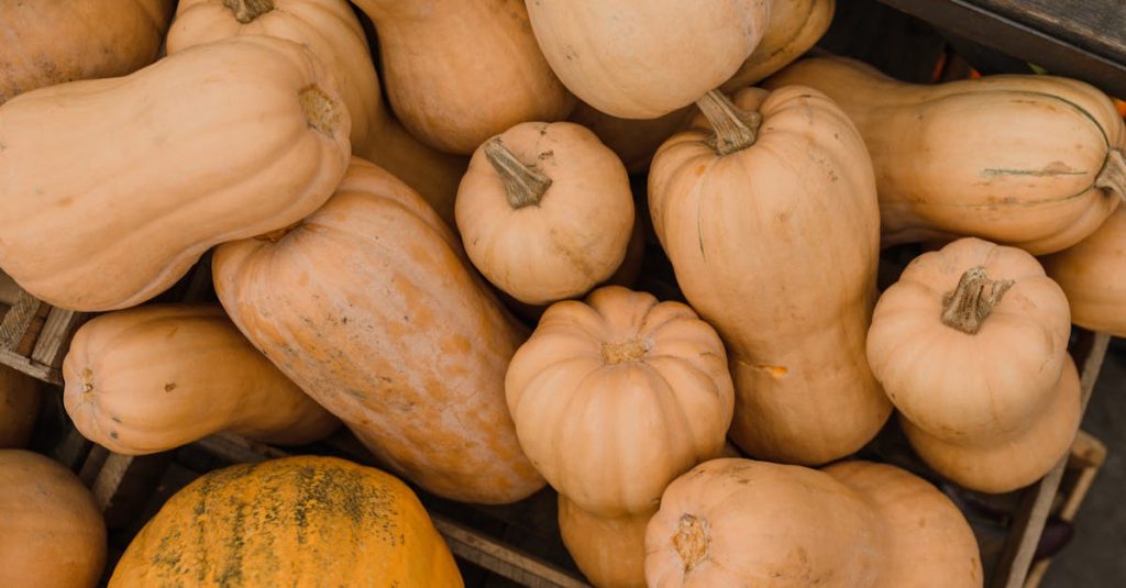 Préparer et cuisiner la courge jaune : astuces et recettes